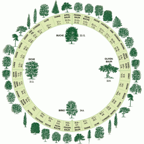 Lebensbaum – Industriewald e.V.